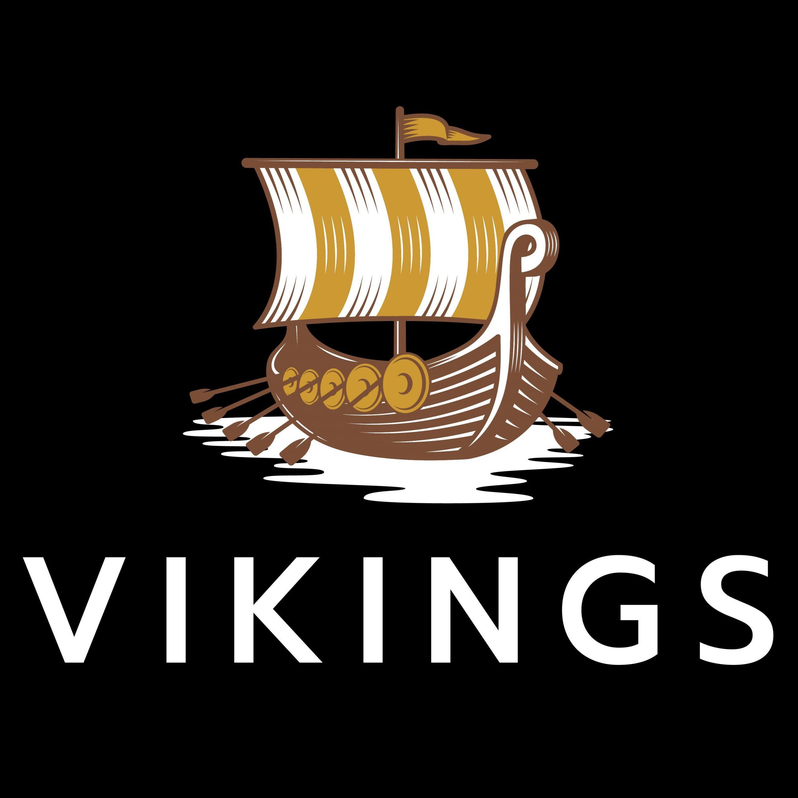 Vikings U12 Boys - Vikings Hockey Club